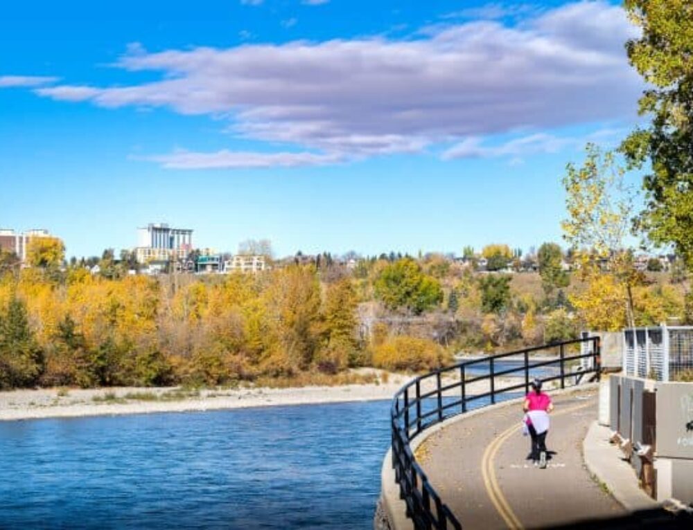 State Occupational Licensing Index 2024